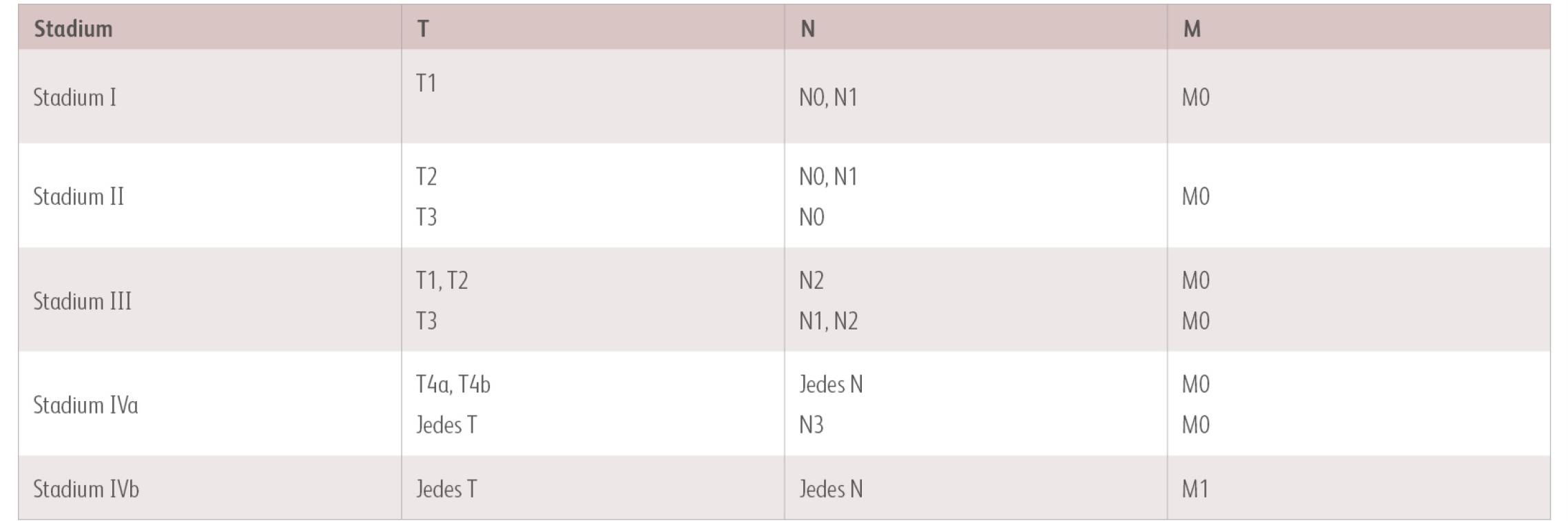 Ösophaguskarzinom – Stadien | BMS-Onkologie